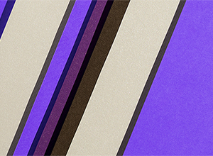 The Mohawk Show Winners | Mohawk Connects